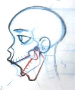 How To Draw A Jaw - Beginners Guide